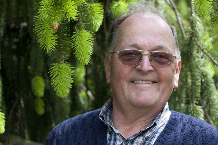 Über uns - Böhlje Pflanzenhandel GmbH